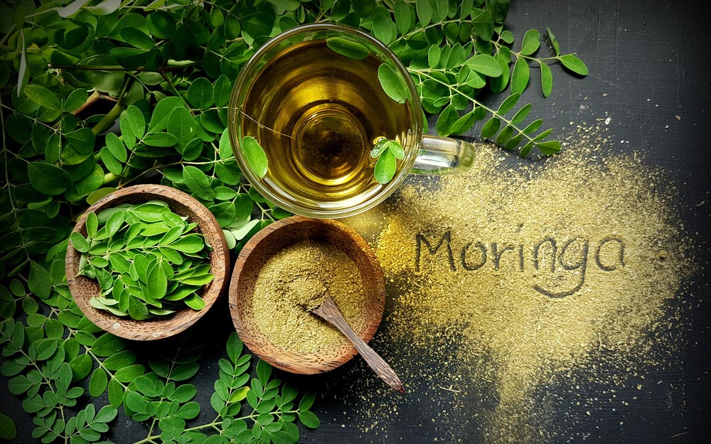Moringa: bienfaits et utilisation de l'arbre de vie - 10 minutes pour ...
